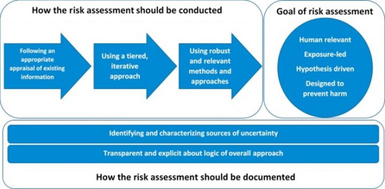 Risk Assessment Process - AFSA