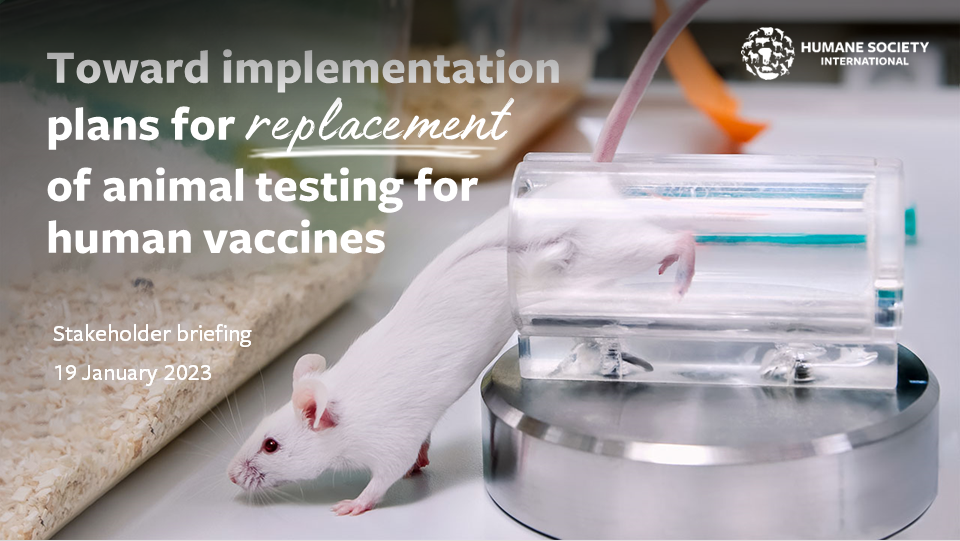 Toward implementation plans for replacement of animal testing for human ...