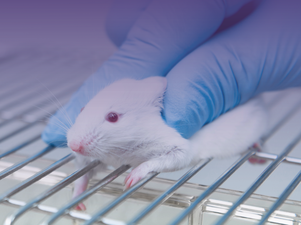 Global Regulatory Alignment - AFSA