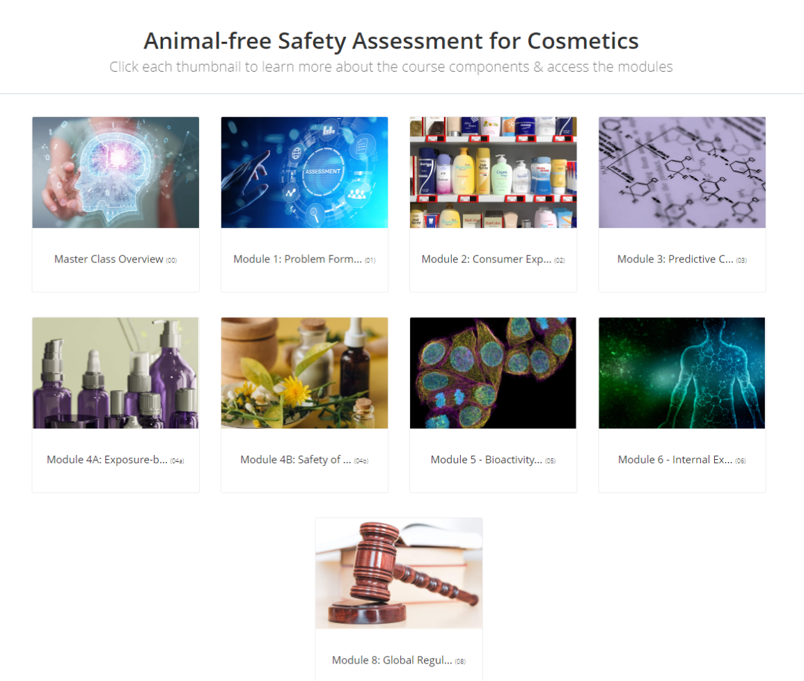 Master Class in Animal-Free Safety Assessment for Cosmetics and Chemical Ingredients - AFSA